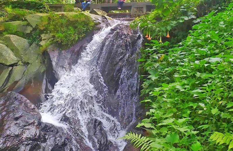 From Jakarta : Waterfall , Botanical Garden , Puppet Show - What to Expect on This Tour