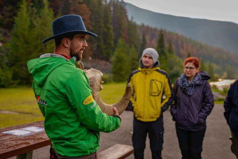 From Jasper: Jasper National Park Wildlife Discovery Tour - The Value of the Tour: Balancing Cost and Experience