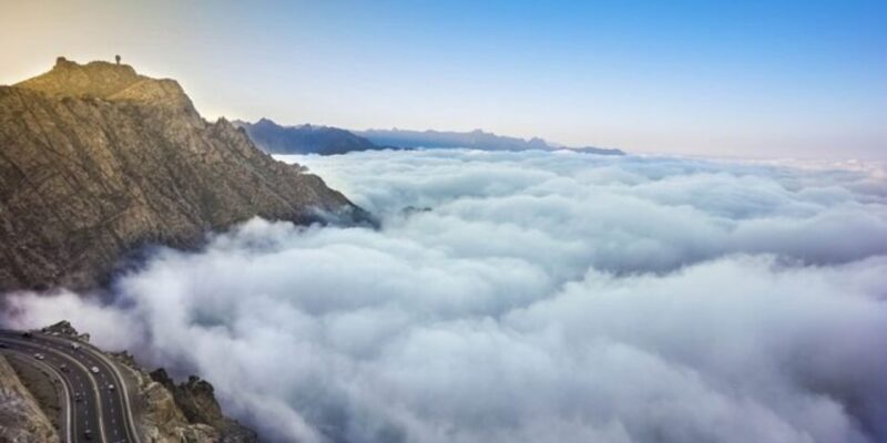 From Jeddah & Makkah: Taif Full Day Tour with Lunch - Who Is This Tour Best For?