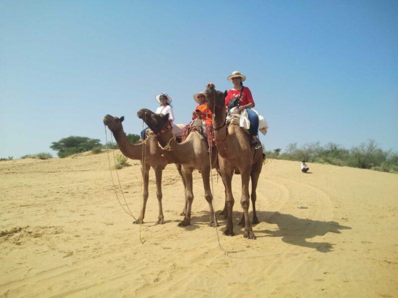 From Jodhpur: Guided Day Trip to Osian with Camel Safari - What the Tour Looks Like in Practice