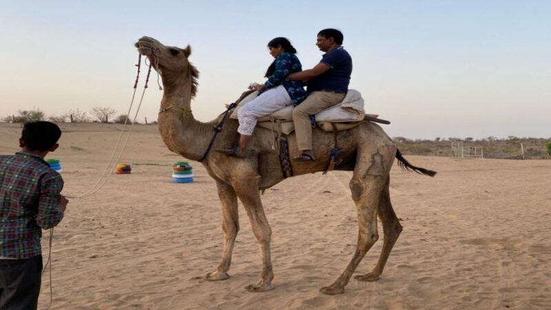 From Jodhpur: Half-Day Tour, Camel Ride, & Dinner in Osian - Exploring the Itinerary in Detail