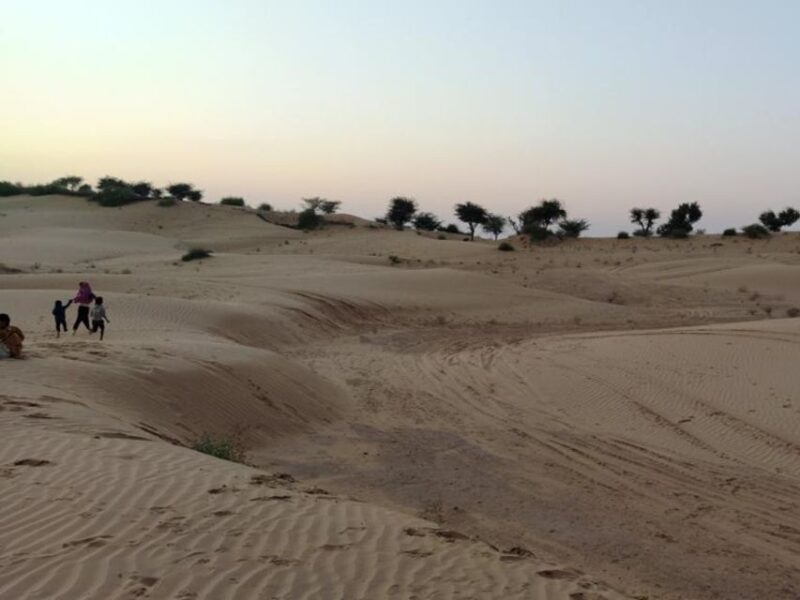 From Jodhpur: Half-Day Tour, Camel Ride, & Dinner in Osian - Final Thoughts