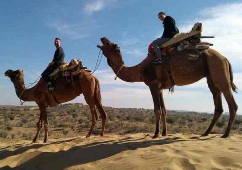 From Jodhpur: Overnight Camping with Camel Safari In Jodhpur - FAQ