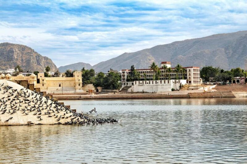From Jodhpur: Self-Guided Pushkar Day Trip - Who Should Consider This Tour?