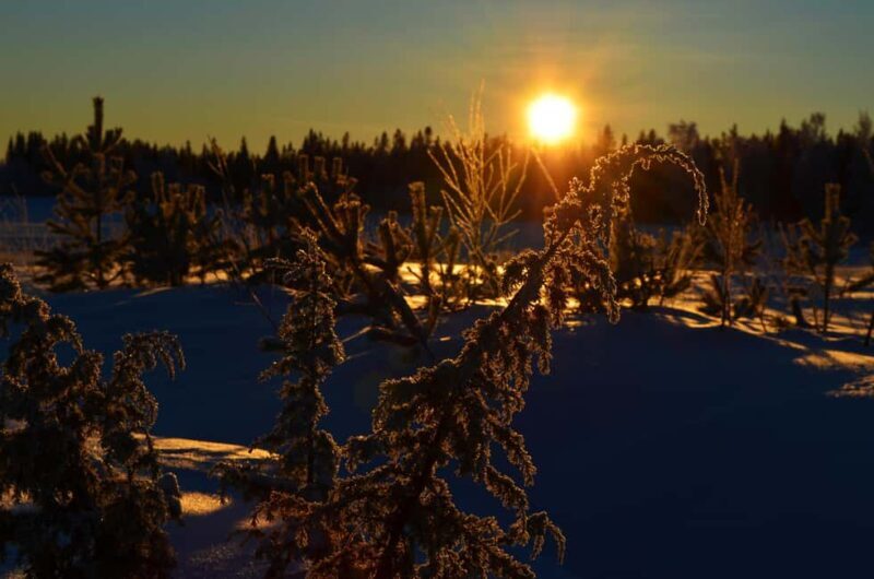 From Jokkmokk: The Great Rapids National Park - Key Points