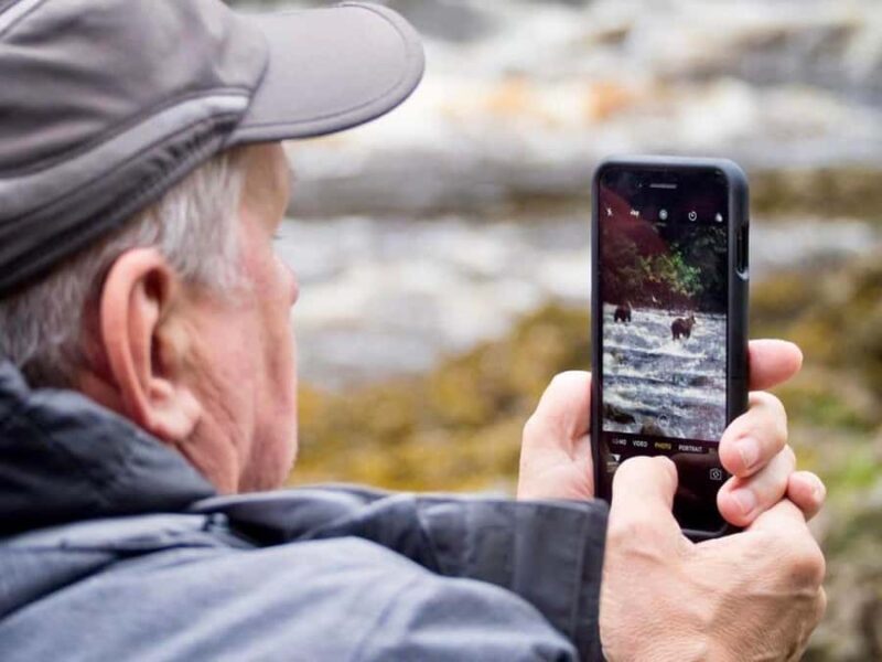 From Juneau: Bear Viewing on Chichagof Island - Key Points