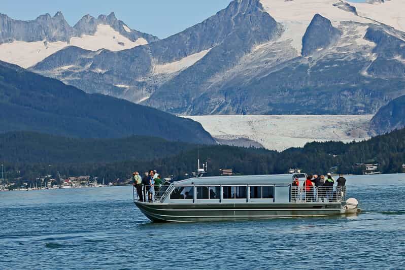 From Juneau: Whale Watching Cruise with Snacks - Final Thoughts: Who Will Love This Tour?