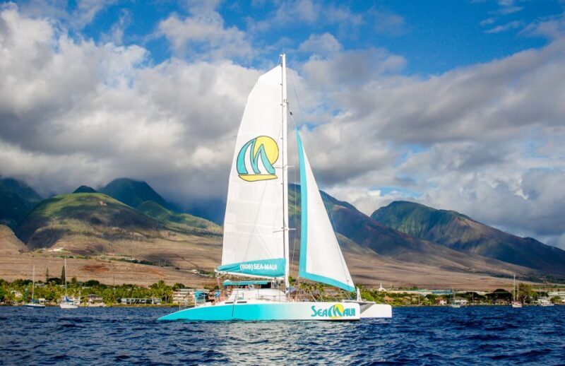 From Kaanapali: Afternoon West Maui Snorkeling w/ Drinks - Key Points