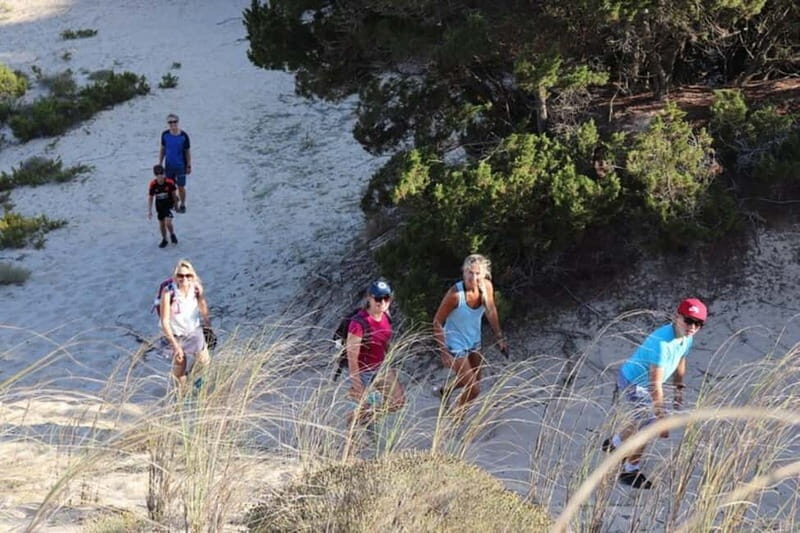 From Kalamata: Day Trip Hike to Gialova Lagoon with Dinner - The Sum Up: Who Should Consider This Tour?