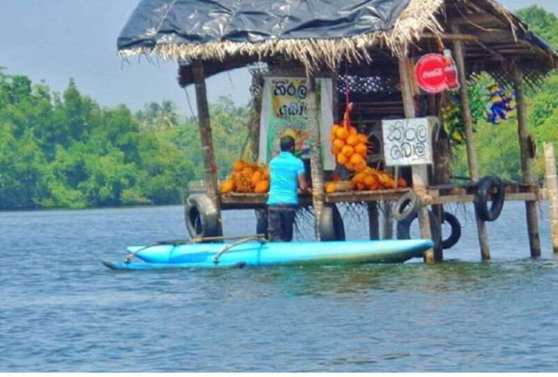 From Kalutara: Exclusive Madu River Safari & Turtle Hatchery - A Detailed Look at the Tour Experience
