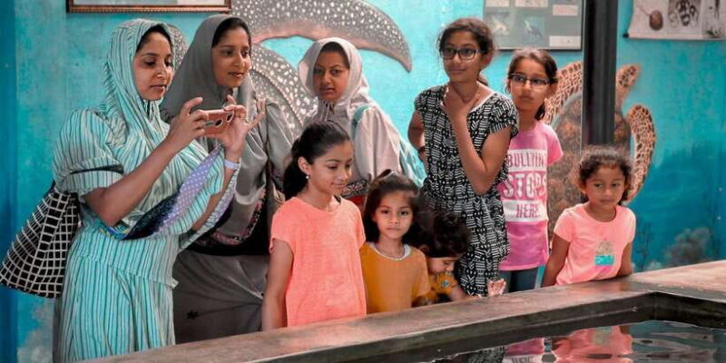 From Kalutara: Handungoda, Galle, and Kosgoda - Key Points