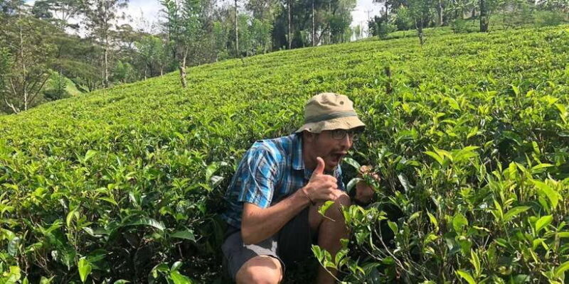 From Kalutara: Handungoda, Galle, and Kosgoda - What You Can Expect from This Tour