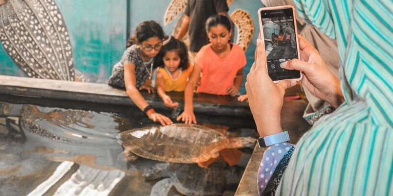 From Kalutara: Handungoda, Galle, and Kosgoda - Authentic Insights from Reviewers