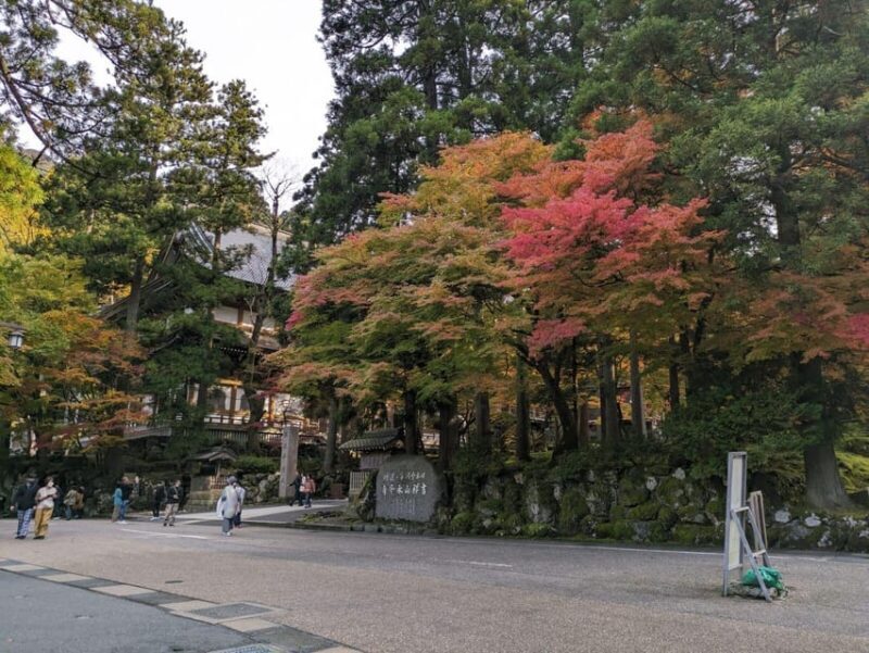 From Kanazawa: Eiheiji Buddhist Temple & Fukui Castle Town - Practical Details and Value
