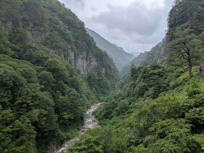 From Kanazawa: Hakusan White Road and Shirakawago Village - Key Points