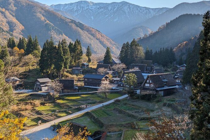 From Kanazawa: Shirakawa-go, Gokayama and Wood Carving Village - Transport and Group Size