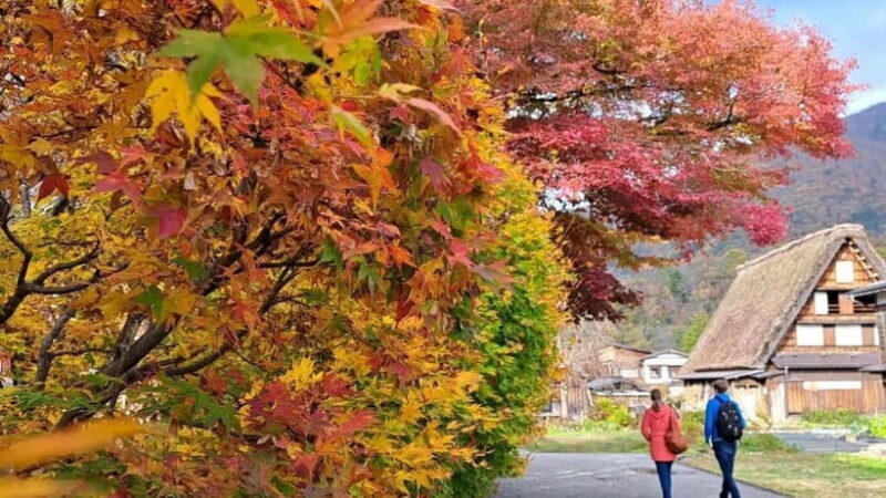 From Kanazawa/Takayama :Day Tour To Shirakawago & Takayama - What Makes This Tour Worth Considering?