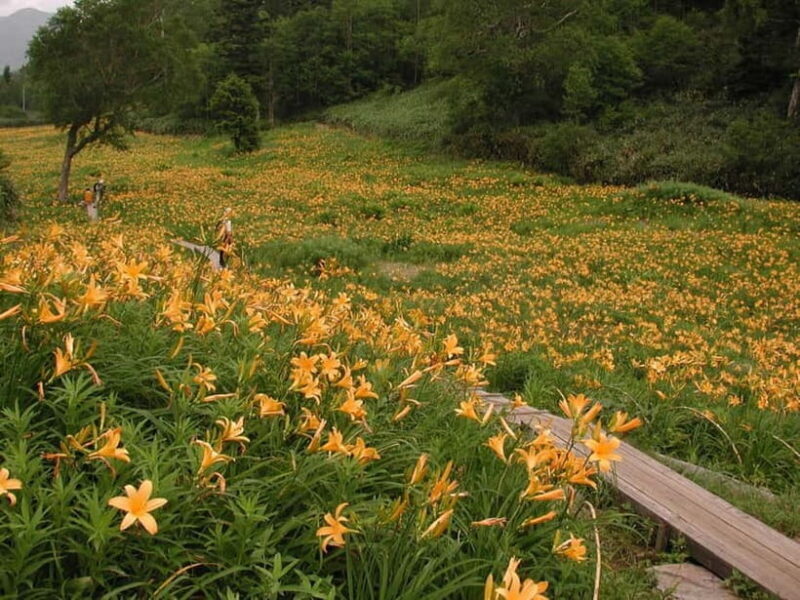 From Kanazawa: Tateyama Mountain Tour with Waterfall & Hike - Key Points