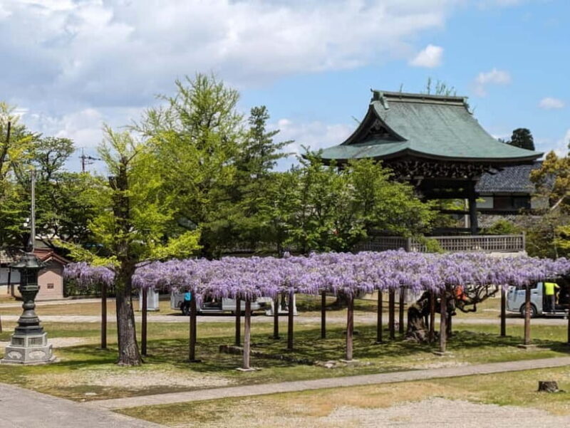 From Kanazawa: Tonami Tulip Festival and UNESCO Gokayama - The Itinerary Breakdown: What Makes This Tour Special