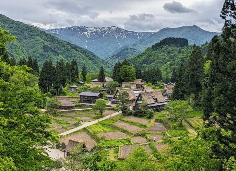 From Kanazawa: Tonami Tulip Festival and UNESCO Gokayama - Who Will Love This Tour?
