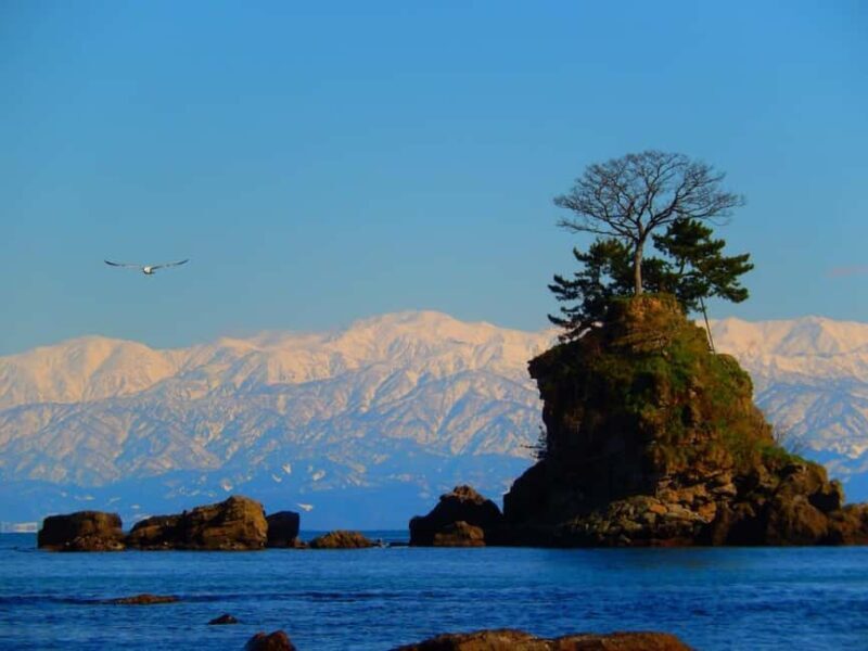 From Kanazawa: Toyama Bay and Shokawa River Cruise Day Trip - Exploring the Coastal Beauty of Amaharashi