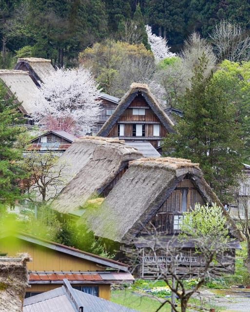 From Kanazawa/Toyama: Shirakawago and Takayama Day Tour - An In-Depth Look at the Tour Experience
