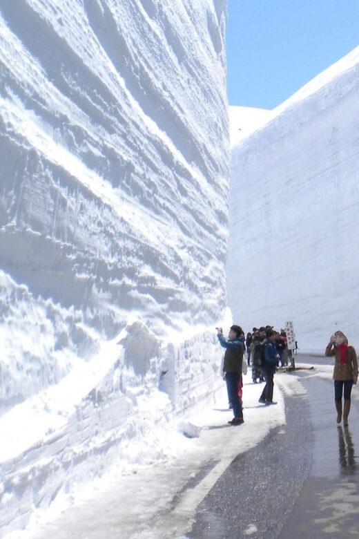 From Kanazawa/Toyama: Snow Wall & Mysterious Valley Day Tour - Who Will Love This Tour?