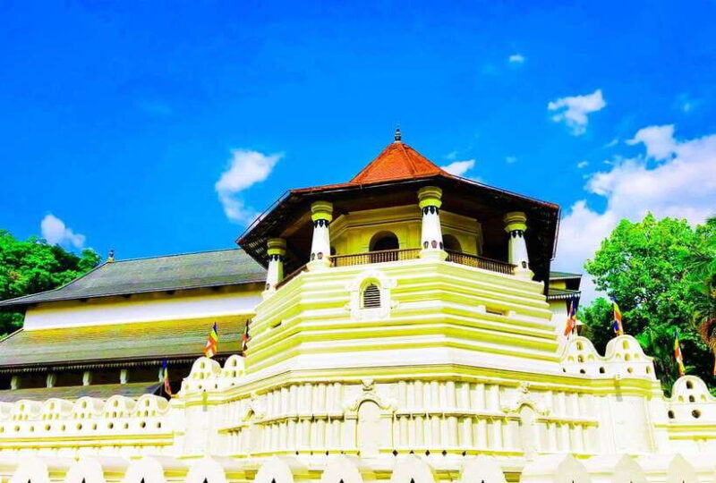 From Kandy: All Inclusive Evening Kandy city tour by Tuk-Tuk - What Travelers Say