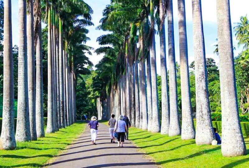 From Kandy: All Inclusive Full-Day Tour in Kandy - Private - Who Should Consider This Tour?