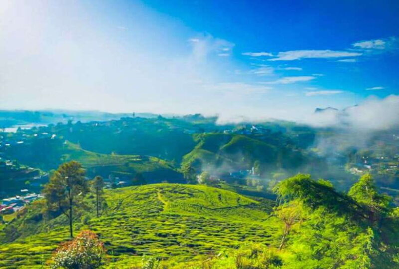 From Kandy: All Inclusive Nuwara Eliya Day Tour with Lunch - FAQ
