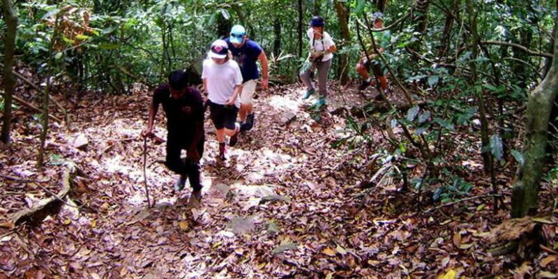 From Kandy: Bird watching tour to Udawatte Kele Sanctuary - Key Points