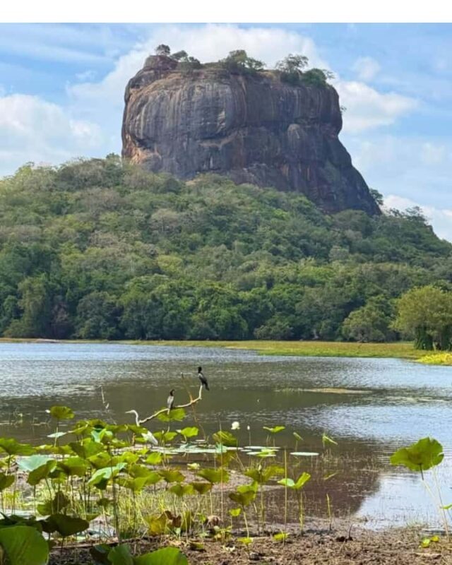 From Kandy: Dambulla to Sigiriya Day Trip By Car - Who Should Consider This Tour?