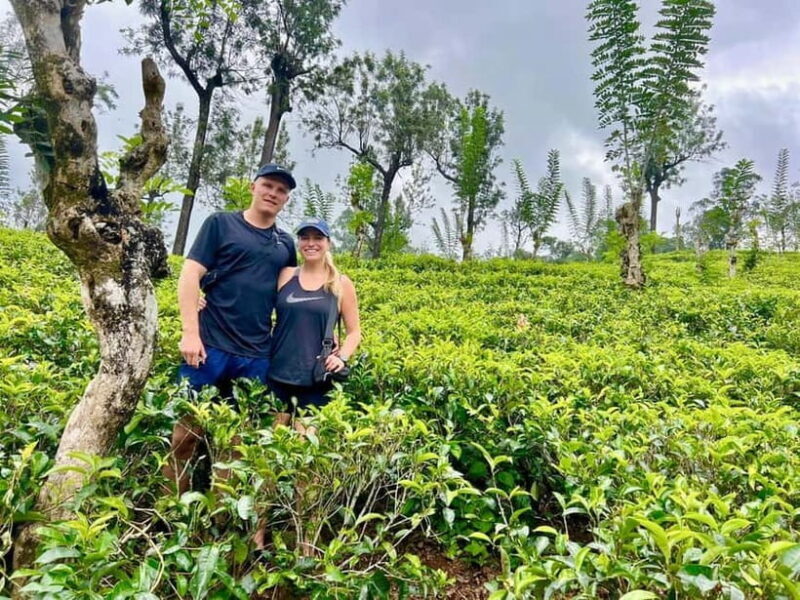 From Kandy: Ella Drop Tour via Nuwara Eliya - Who Is This Tour Best For?