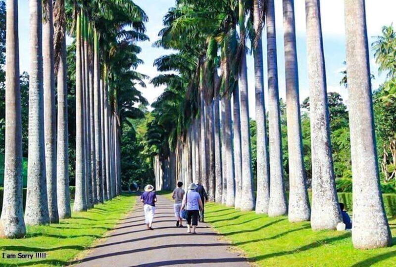 From Kandy: Full Day tour in Kandy with Ambuluwawa Tower - The transport and guide experience
