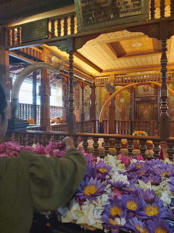 From Kandy- Kandy City Local TUK TUK Tour and Hidden Gems - An Intimate Journey Through Kandy’s Streets