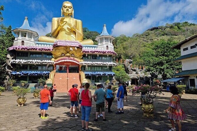 From Kandy: Minneriya Wildlife Safari and Heritage Day Tour - Transport and Logistics