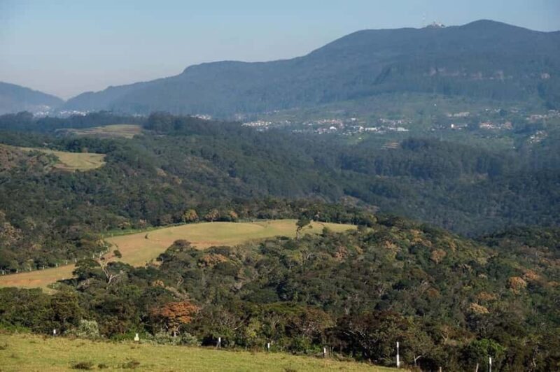 From Kandy: Moon Plains Highlands Viewpoint Experience - An In-Depth Look at the Moon Plains Highlands Viewpoint Experience