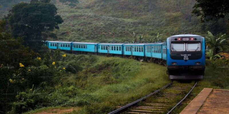 From Kandy: Nuwara Eliya by Train - What Travelers Say: Authentic Insights