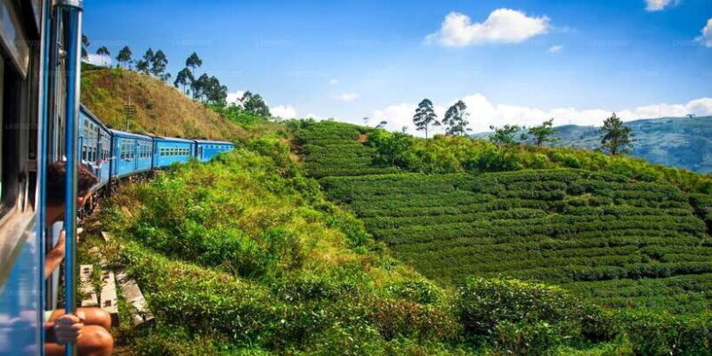 From Kandy: Nuwara Eliya by Train - Frequently Asked Questions