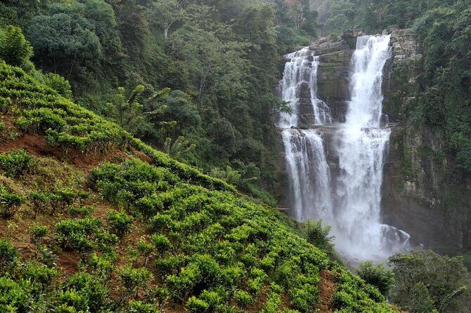 From kandy: Nuwara Eliya Private Day tour with Ambuluwawa Tower - Key Points