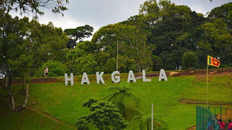 From Kandy: Nuwara Eliya Tour via Ambuluwawa [Private Tour] - The Sum Up