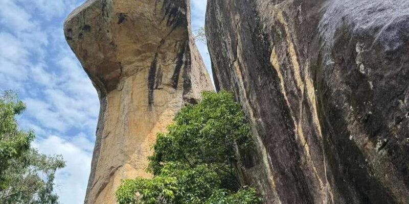 From Kandy: Pidurangala Rock and Minneriya National Park - From Kandy: Pidurangala Rock and Minneriya National Park — A Detailed Review