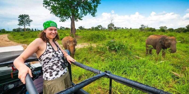 From Kandy: Pidurangala Rock and Minneriya National Park - Final Thoughts: Is This Tour for You?