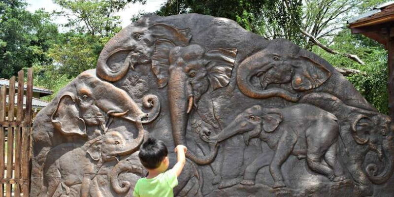 From Kandy: Pinnawala and Botanical Garden Tour By Tuk Tuk - Gem Factory and Final Viewpoint