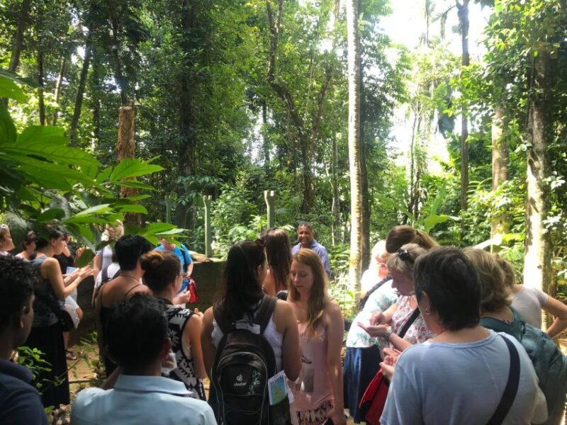 From Kandy: Pinnawala Day Tour - Final Thoughts: Who Will Love This Tour?