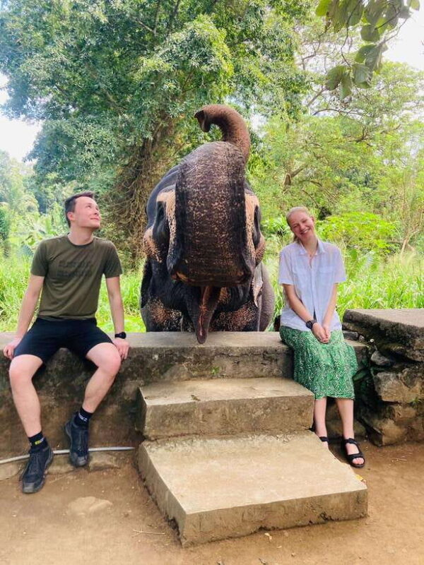 From Kandy : Pinnawala Elephant Orphanage & Ambuluwawa Tower - Key Points