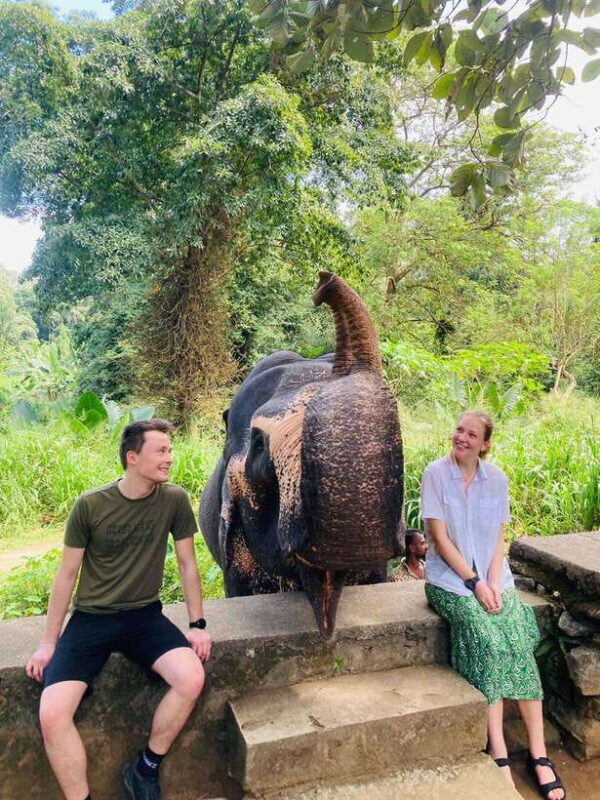 From Kandy : Pinnawala Elephant Orphanage & Ambuluwawa Tower - An Honest Breakdown of the Tour Experience