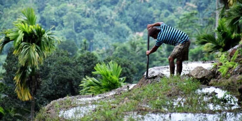 From Kandy: Private Guided Hike to Heeloya - A Closer Look at the Itinerary