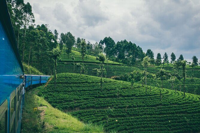 From Kandy: Second/Third Class Scenic Train Ticket to Ella - Why This Train Journey Stands Out