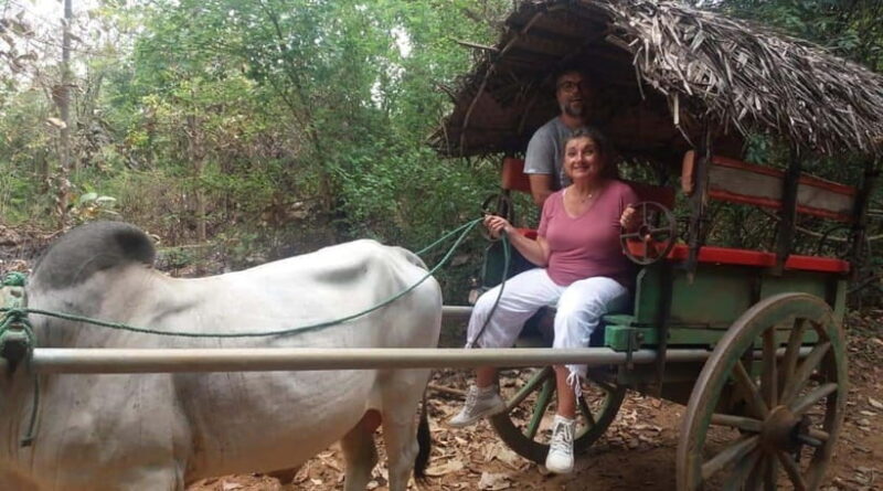 From Kandy: Sigiriya and Pidurangala Rock Tuk Tuk Safari - Key Points